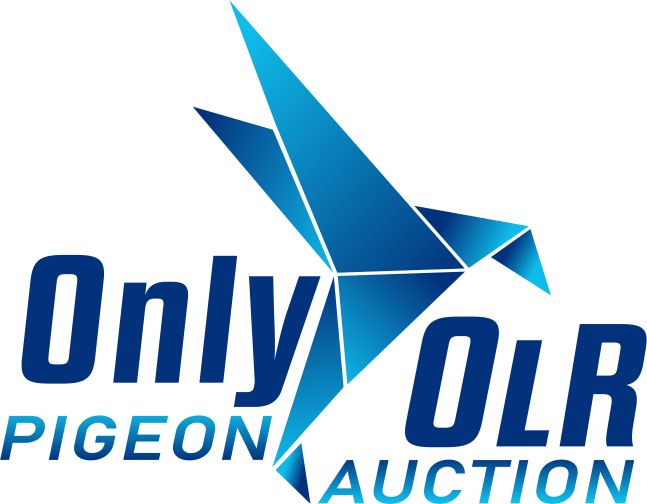 Porumbei pret fix – OnlyOLR